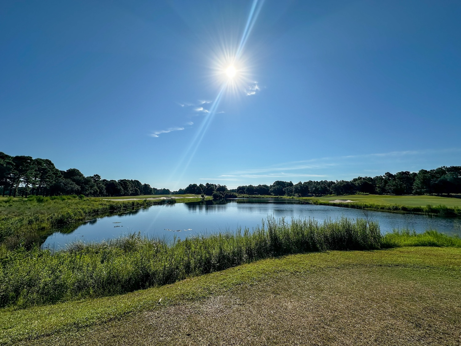 Current Playing Conditions at Azalea Sands, Barefoot-Fazio, Barefoot-Love, Diamondback, Hackler ...