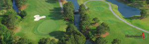 Meadowlands Golf Course | Meadowlands Golf Club in Myrtle Beach, SC