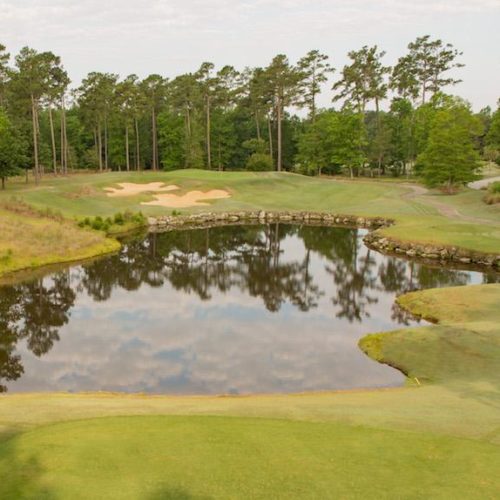 Course Spotlight: Tiger's Eye Golf Links
