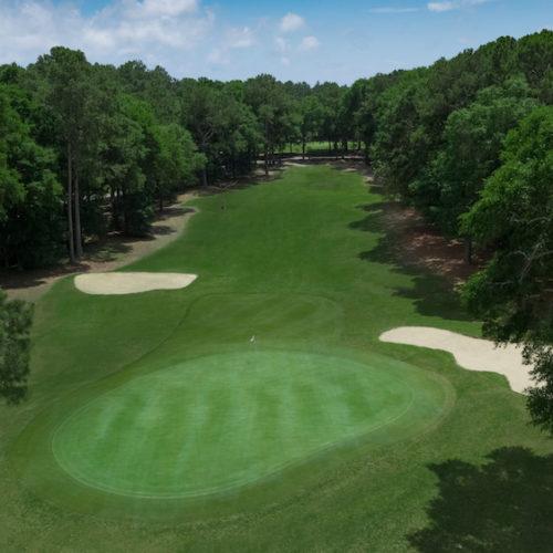 Video Spotlight: The Maples Course at Sea Trail