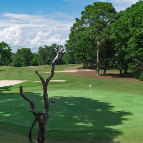Sea Trail Maples Golf Course in Myrtle Beach, SC - Reviews & More