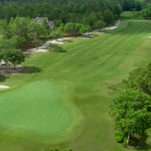 Video Spotlight: Leopard’s Chase Golf Links