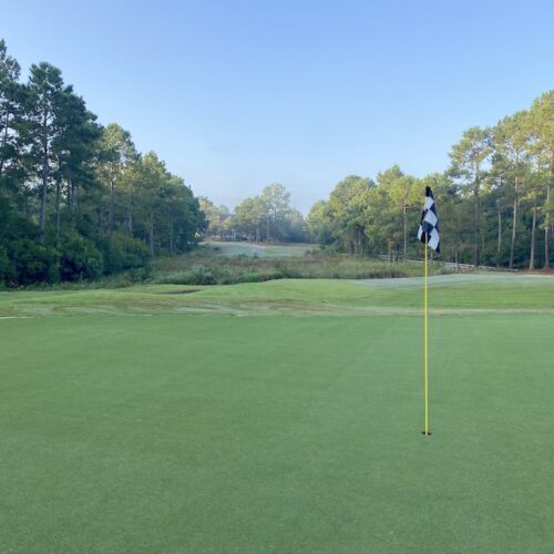 Leopard’s Chase Reopens with New, TifEagle Ultradwarf Bermudagrass Greens