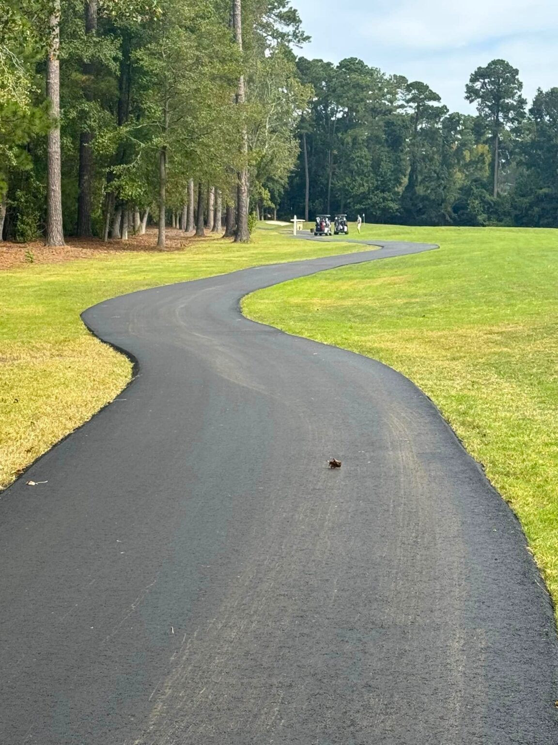 Blackmoor Guests Now Enjoy Newly Paved Cart Paths